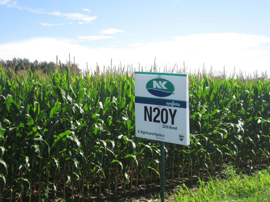 Seed signs tell a growing story of what’s out in the field | Arts and ...