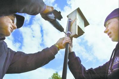 Helping hands | News | nny360.com