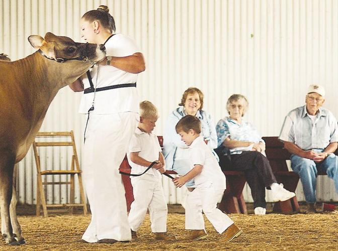 Classy dairy cattle in contest spotlight | News | nny360.com