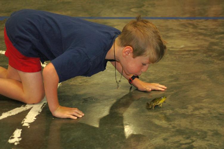 Speedy frogs highlight 2025 Boss Frog competition at Massena Arena ...