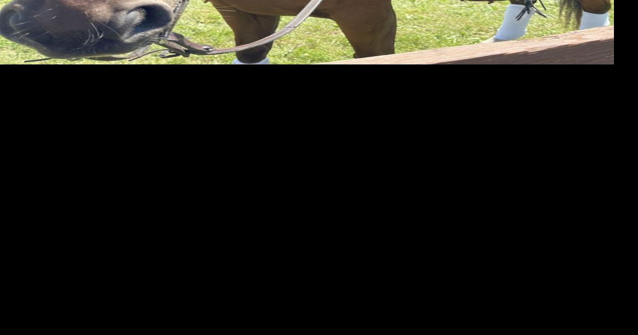 A look back at the Lewis County Fair: No horsing around this duo ...