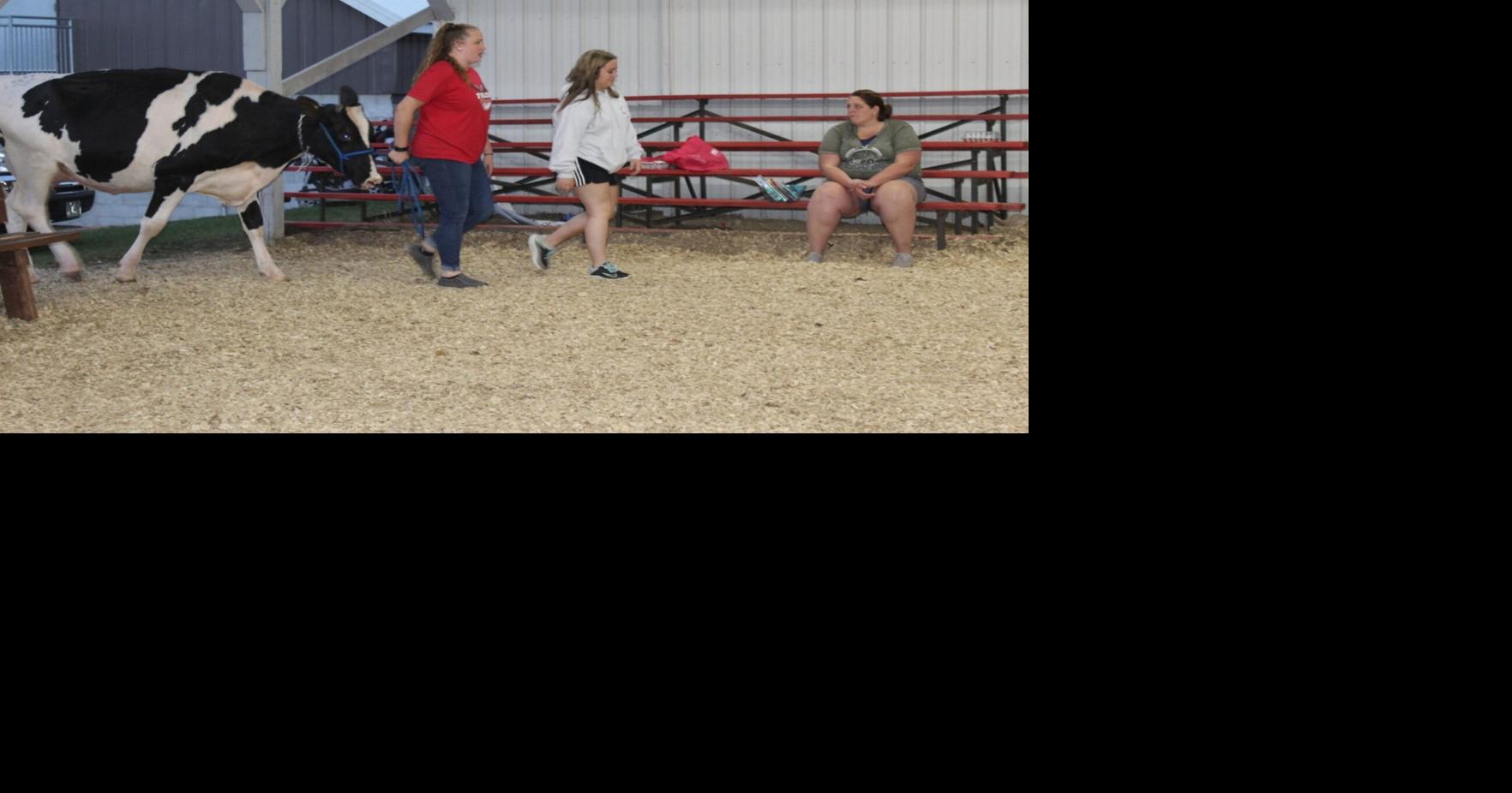 A look back at Lewis County Fair 2022: Youth awarded in cattle ring ...