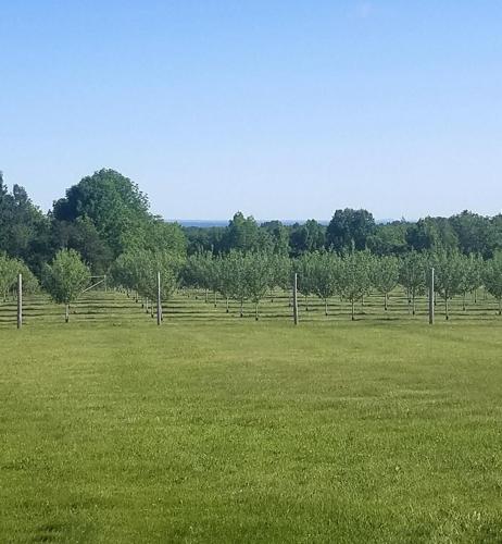 Spotlight on agriculture: Prairie’s Orchard | Opinion | nny360.com