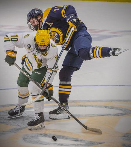 College roundup: St. Lawrence men’s hockey edged by Princeton in ...