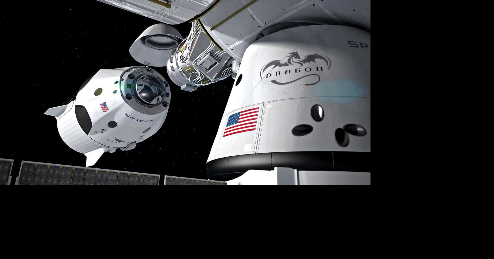 Mice in space: NASA’s latest experiment | News | nny360.com