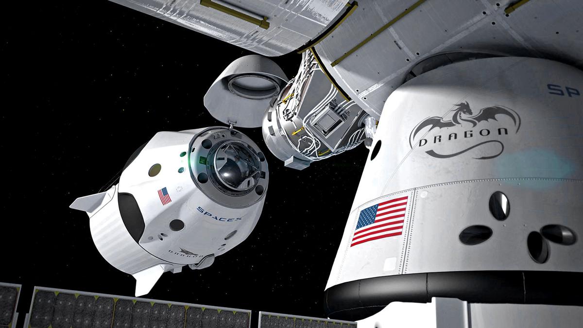 Mice in space: NASA’s latest experiment | News | nny360.com