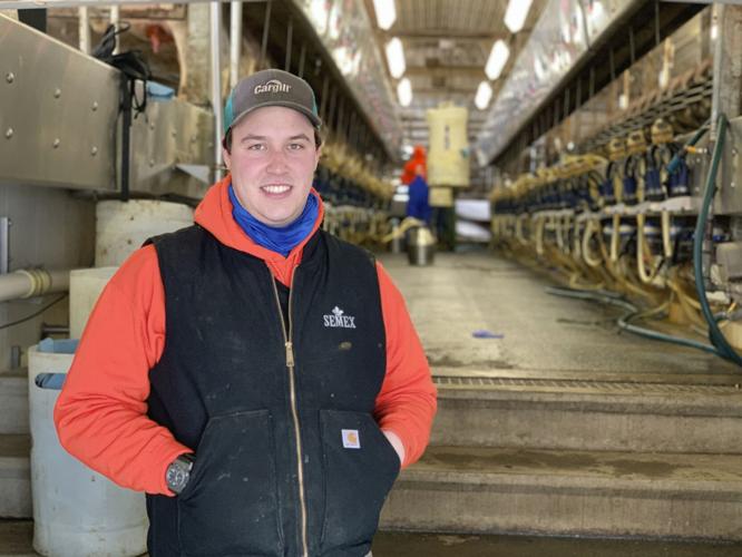 Stauffer Farms in North Lawrence hosting virtual dairy tour this week ...