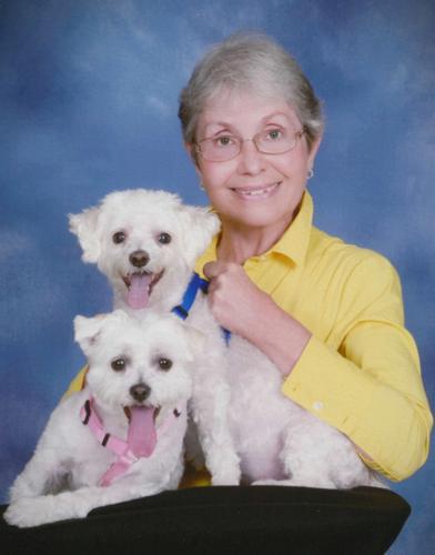 Susan Elizabeth Scouten | Obituaries | nny360.com