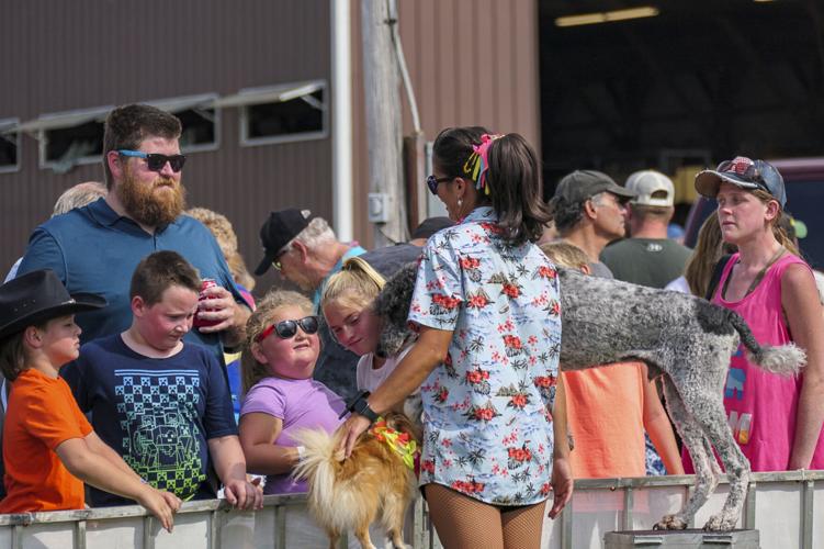 Photos from the Oswego County Fair 2022 | Arts and Entertainment ...