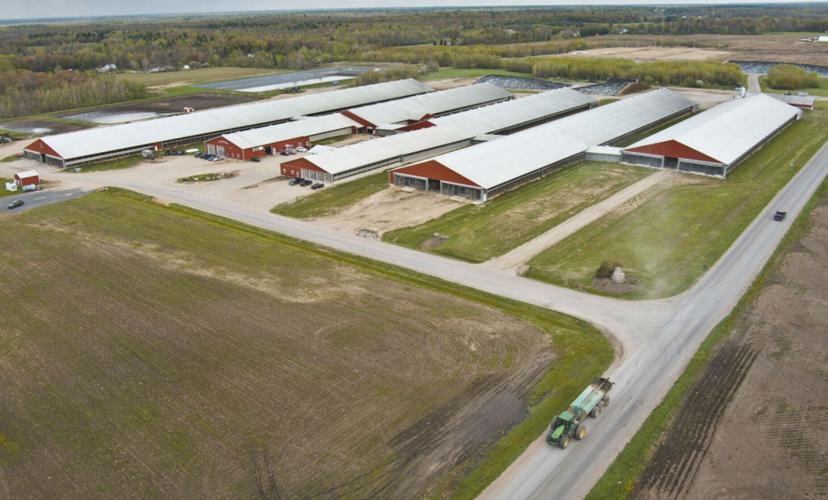 Lawrence farm working with IDA, Liberty Utilities to create renewable ...