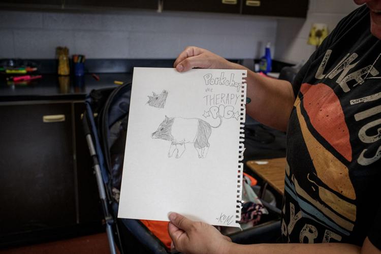 In need? Porkchop the therapy pig is here to save the day | Kidscontent ...