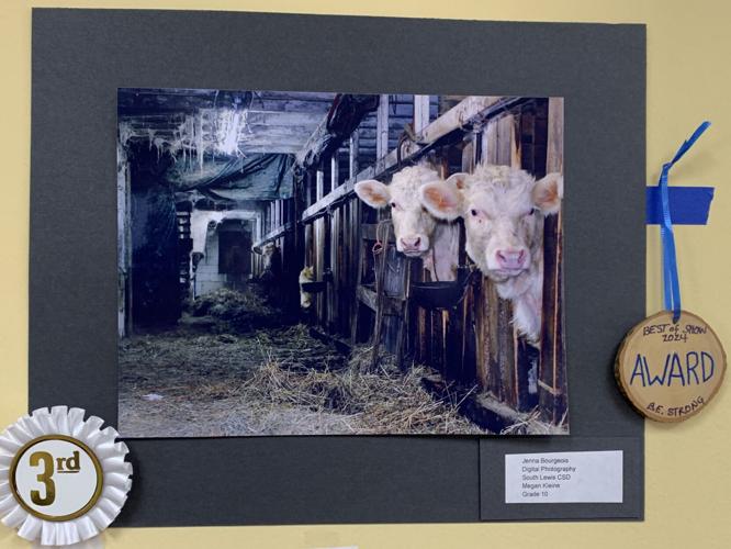 Turin library awards young artists | Lewis County News | nny360.com