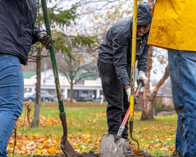 Volunteers dig deep at annual tree planting | Kidscontent | nny360.com