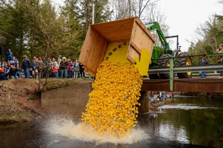 Ducks take to the water in annual fundraiser | Kidscontent | nny360.com