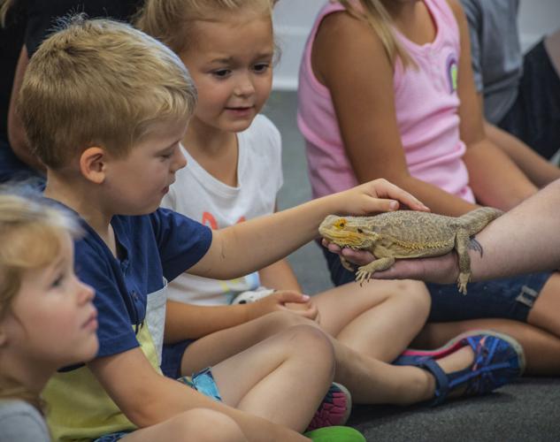 Lizard Lady shares love of reptiles with children in Potsdam program ...