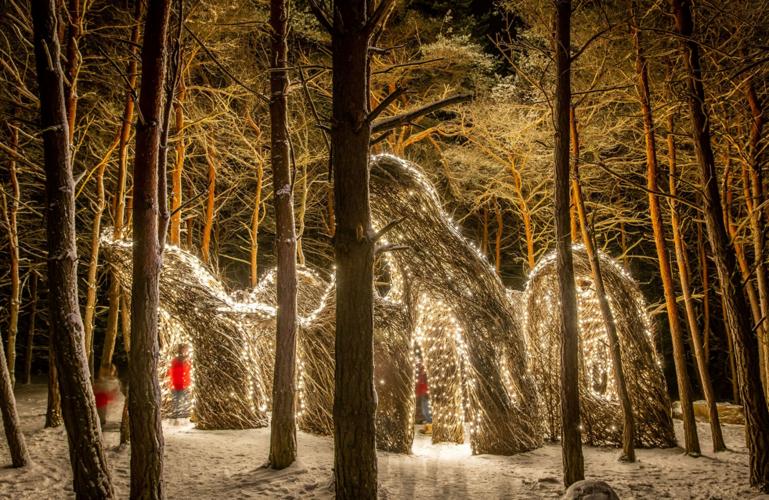 ‘Wild Lights’ returns to Tupper’s Wild Center | Kidscontent | nny360.com