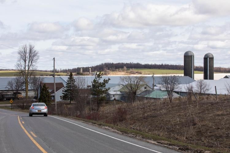 Coronavirus could be ‘nail in the coffin’ for many north country dairy ...