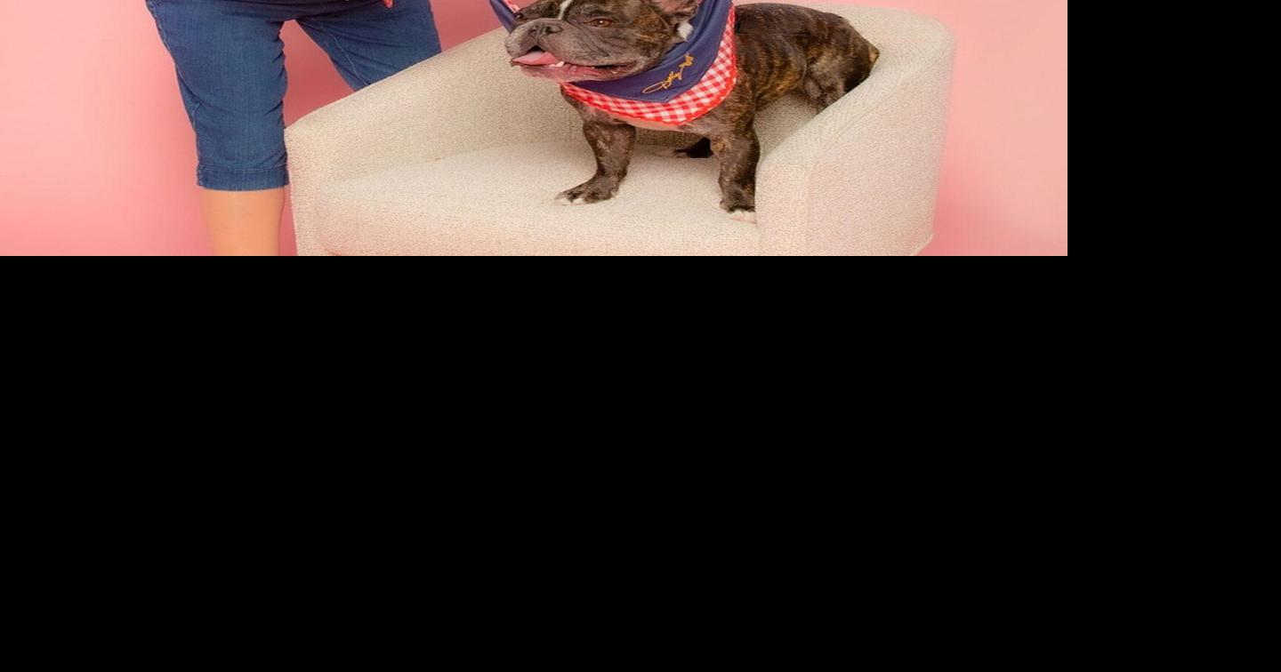 Dolly Parton is launching her own pet collection, ‘Doggy Parton ...