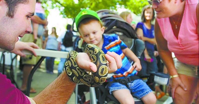 Raptor rapture spawns business | Arts and Life | nny360.com