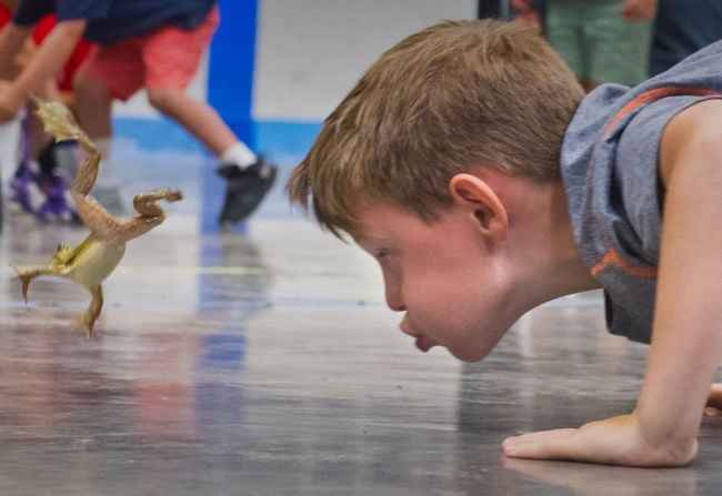 New Boss Frog champion crowned during Massena Recreation Department ...