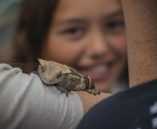 Lizard Lady shares love of reptiles with children in Potsdam program ...