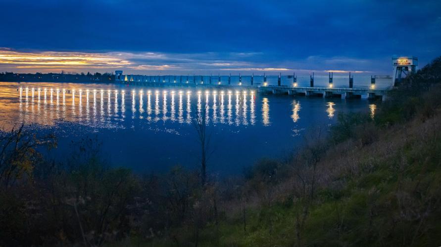 Light studied as way to guide eels around St. Lawrence River hydro dams ...