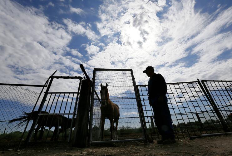 EPA test results show mine spill unleashed highly toxic stew | News ...