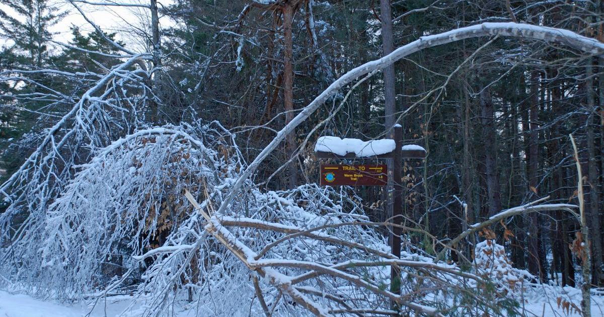 Taking a look at Higley Flow State Park 11 weeks after the ice storm ...