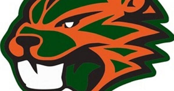 High school roundup: Beaver River’s run through state playoff ends in ...