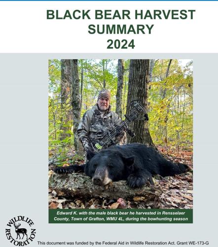 New York bear harvest up 24% from previous hunting season | News ...