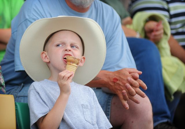 SQUEALING SMASH-HIT STUNTS | News | nny360.com