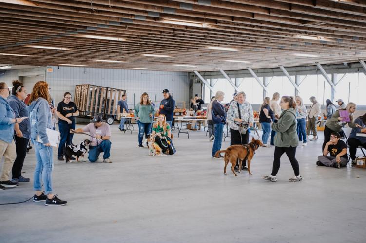 A howling good time at the Mutt Strut | Community Giving | nny360.com