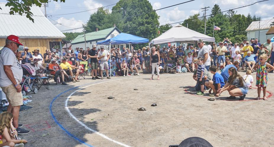 Fun, sun and turtles | | nny360.com