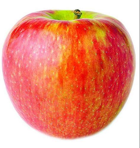 A big apple destination | Arts and Life | nny360.com