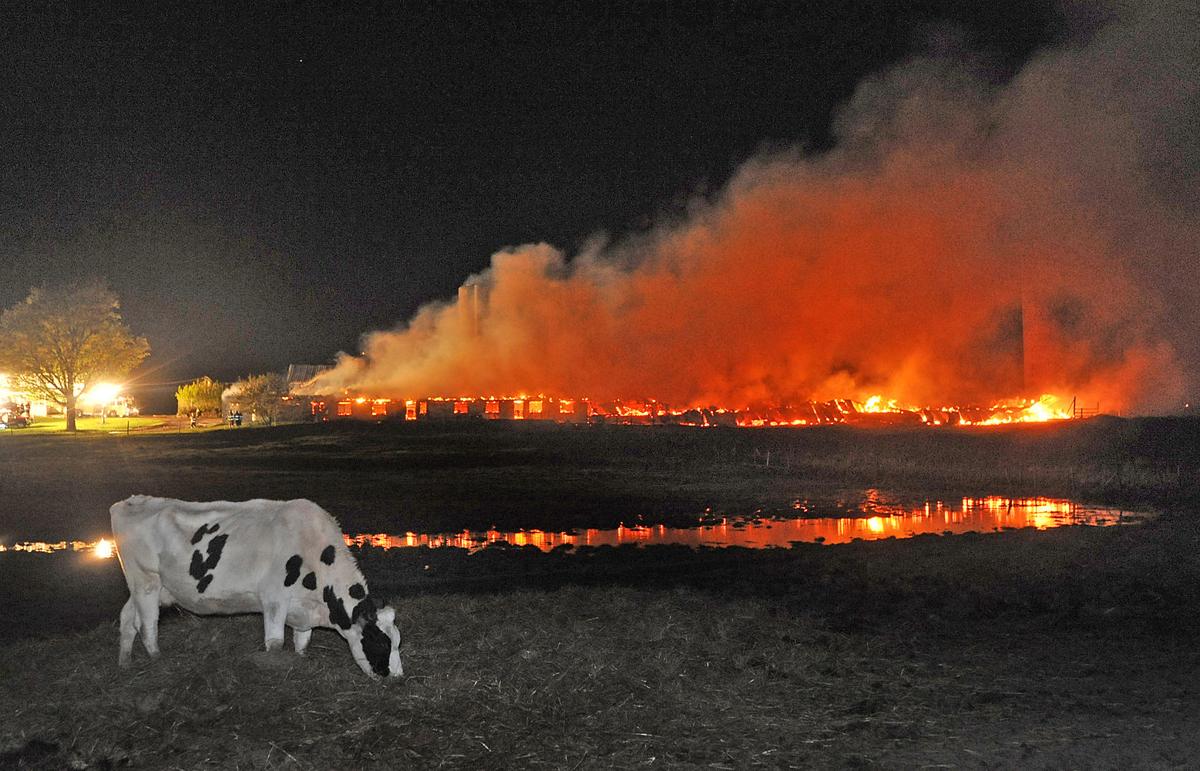 barnyards fire