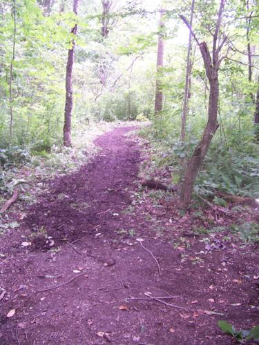 Steven Mahan’s Eagle Scout Project benefits the Mexico community | News ...