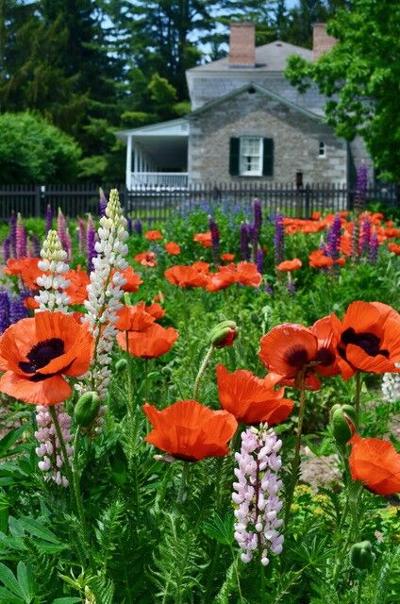 Constable Hall full of activity during June | Community Notes | nny360.com