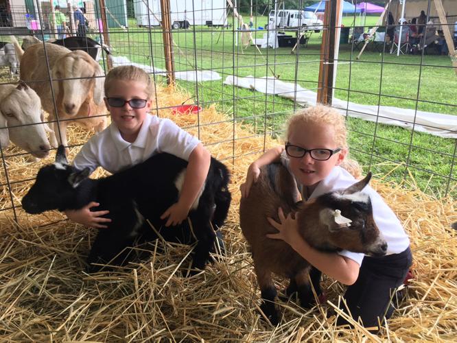 Goats, rabbits, poultry reign over fair | News | nny360.com