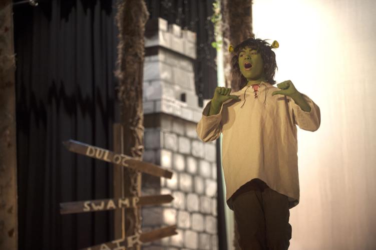 ‘Shrek’ treks to stage Case community brings green guy, friends to life ...