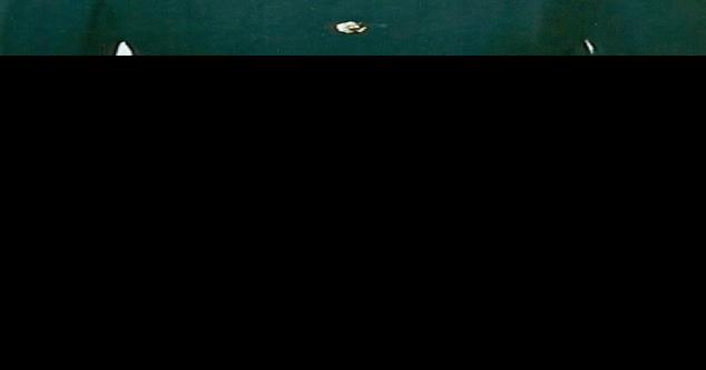 Dustin J. Dailey | Obituaries | nny360.com