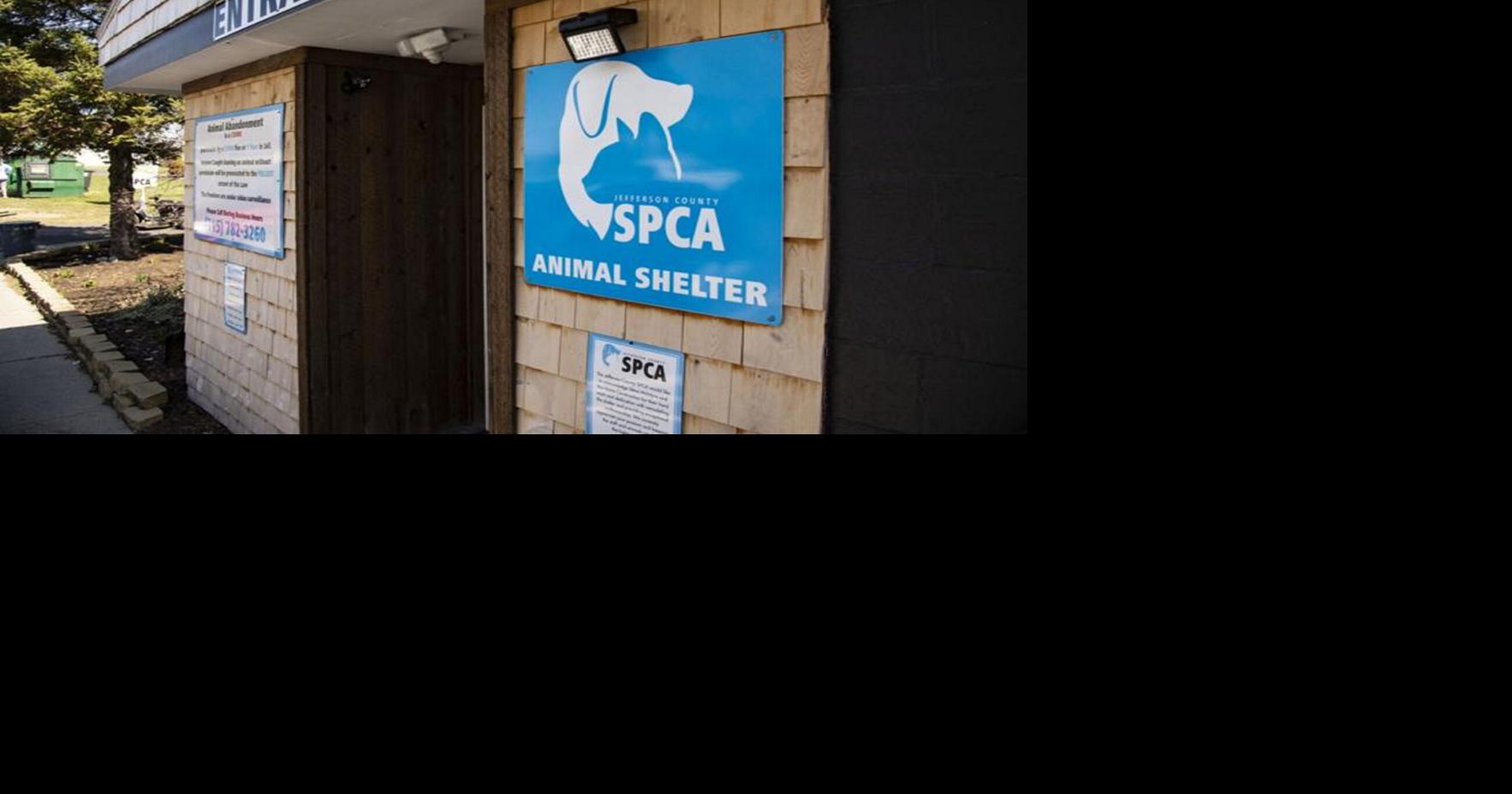 SPCA in Jefferson County reopens after three illnesses hit facility ...