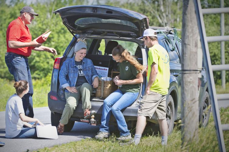 Bird banding: Adirondack Raptors continues American kestrel tracking ...