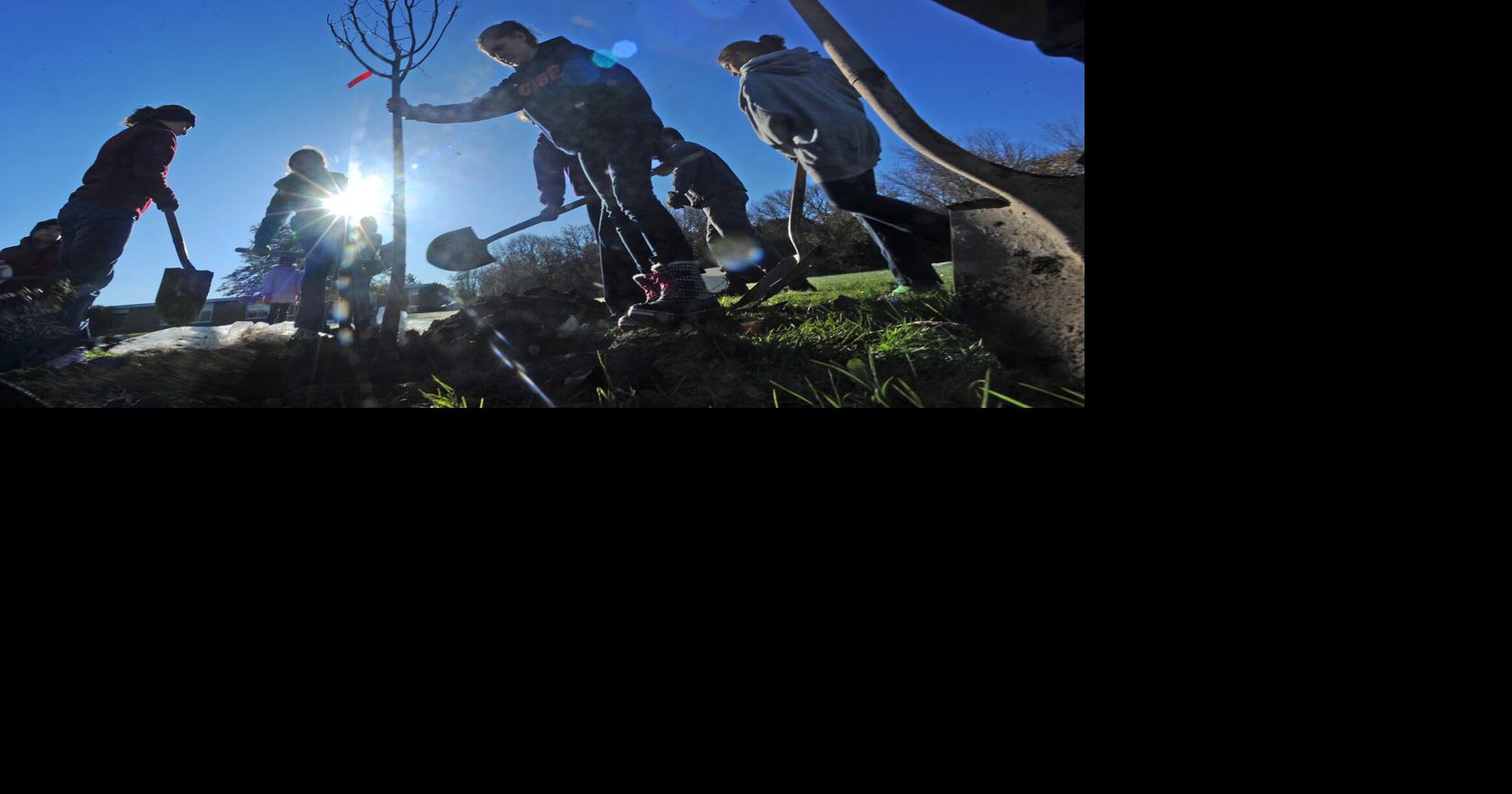 City's fall tree-planting program is Saturday | Community Notes ...