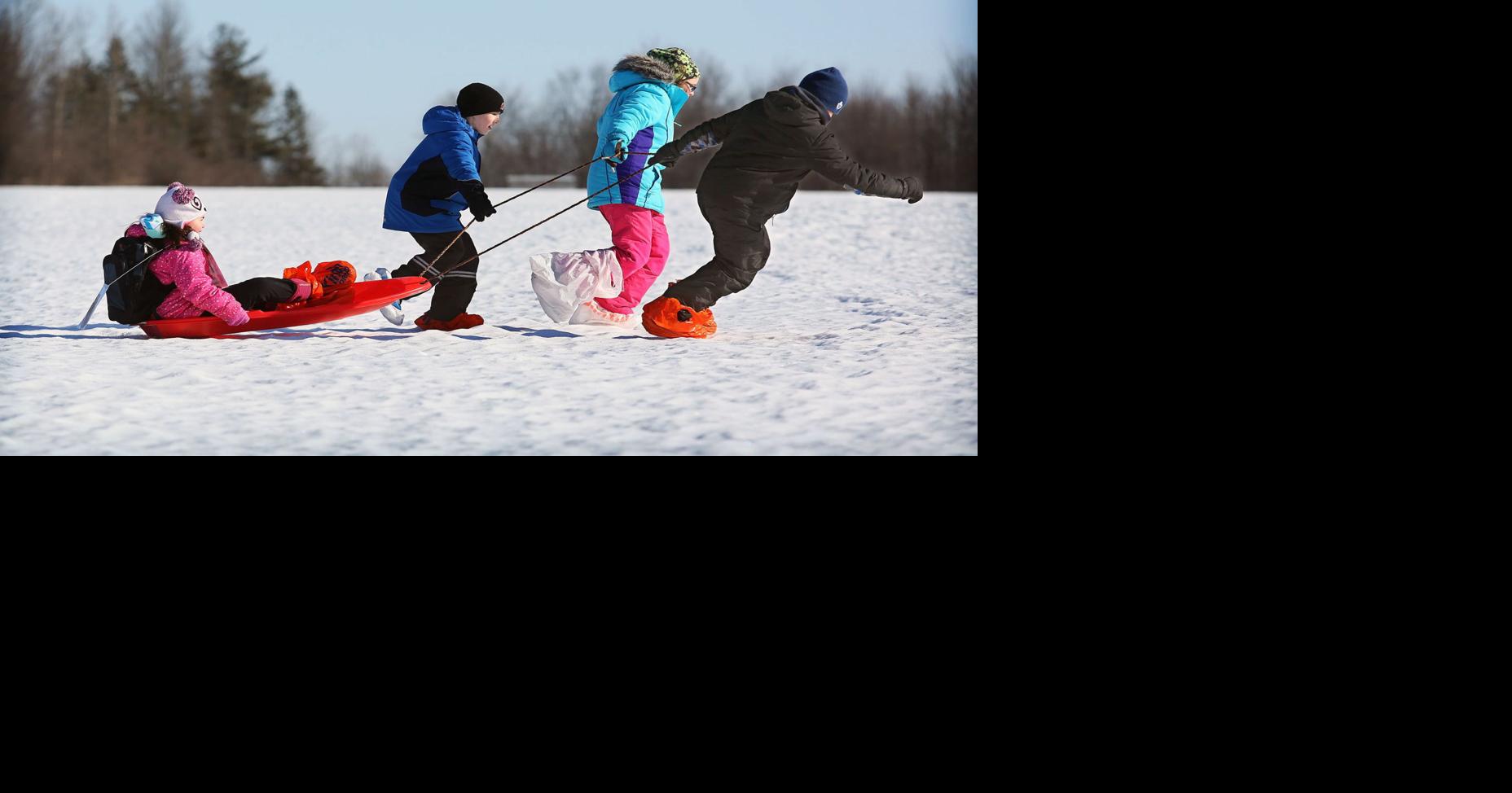 MUSH, DOGGIES, MUSH | News | nny360.com
