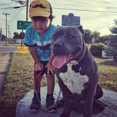 Guzman | Arts and Life | nny360.com