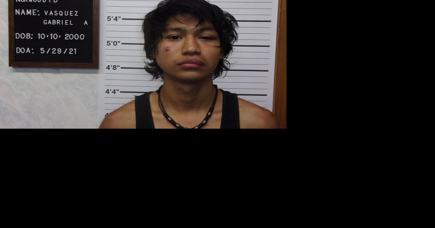 Man charged with assault after alleged machete attack in Norwood | St ...