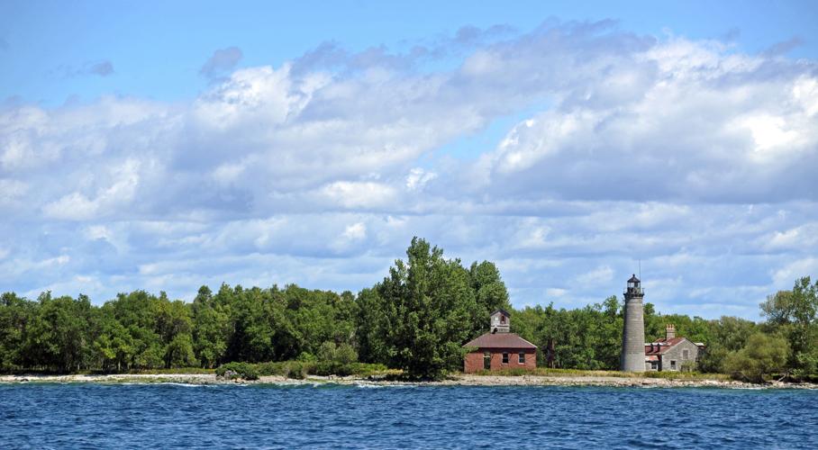 GALLOO AVIAN STUDY SOUGHT | News | nny360.com