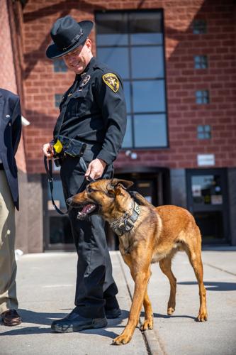 K-9 Lafferty is newest four-legged employee at Jefferson County Sheriff ...