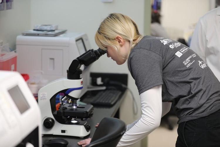 Students get hands-on experience through MASH Camp | Education | nny360.com