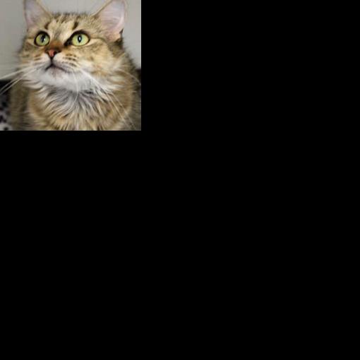 You’ve gotta have Heart | Opinion | nny360.com